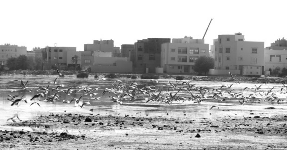 ‘Waste to wealth’ power for Bahrain | French Chamber of Commerce and ...