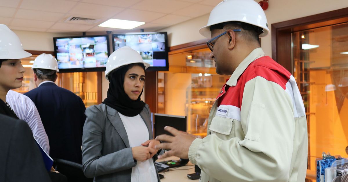 Veolia Day - Visit of Bahrain Bay Utilities | French Chamber of ...