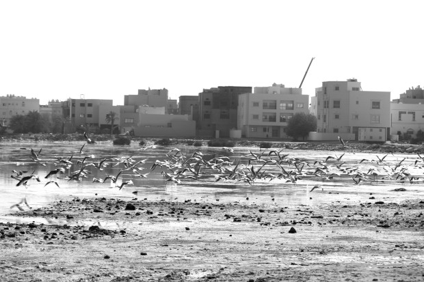 ‘Waste to wealth’ power for Bahrain | French Chamber of Commerce and ...